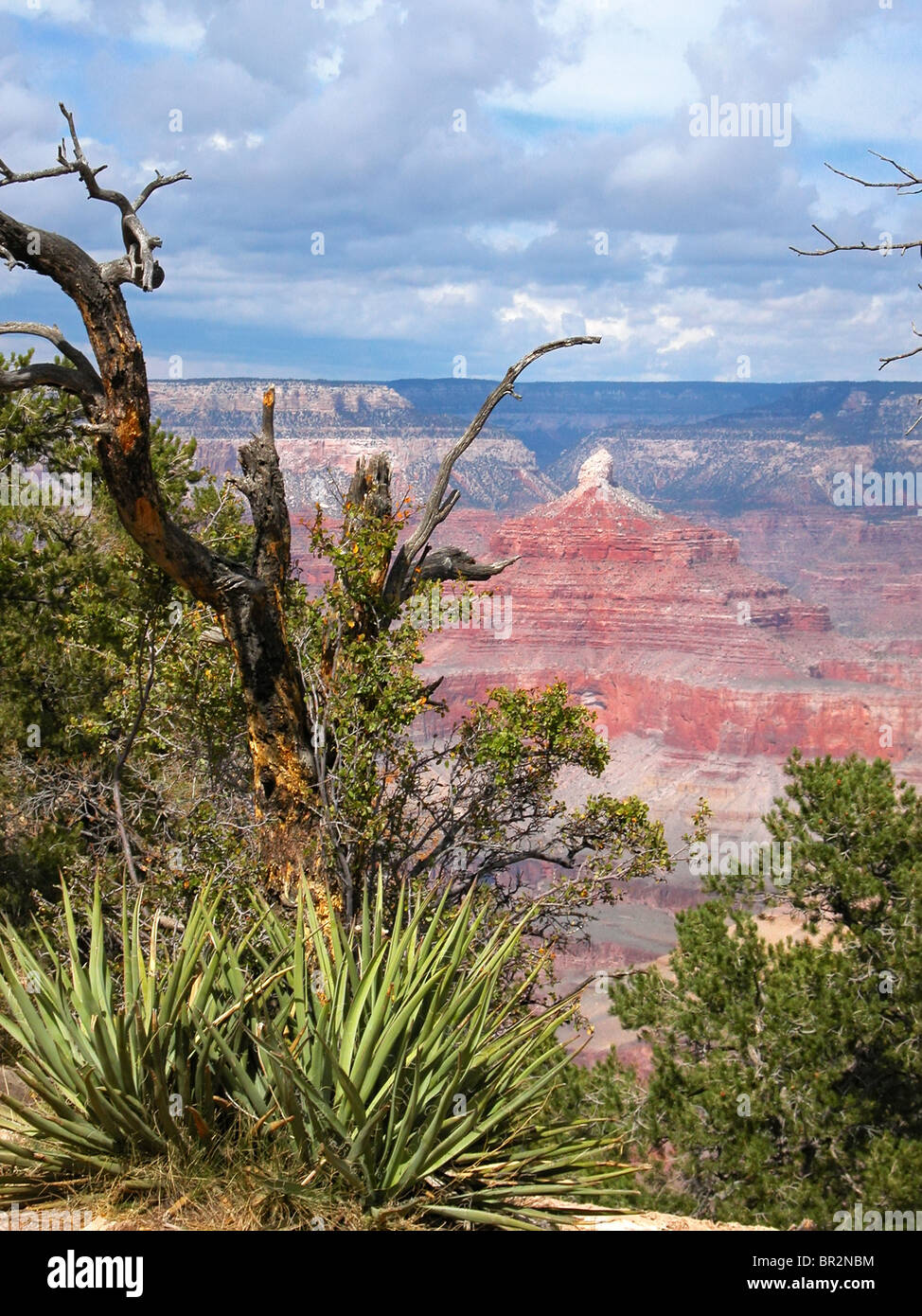 View from the Yavapai Point near the visitor center at the south rim of ...