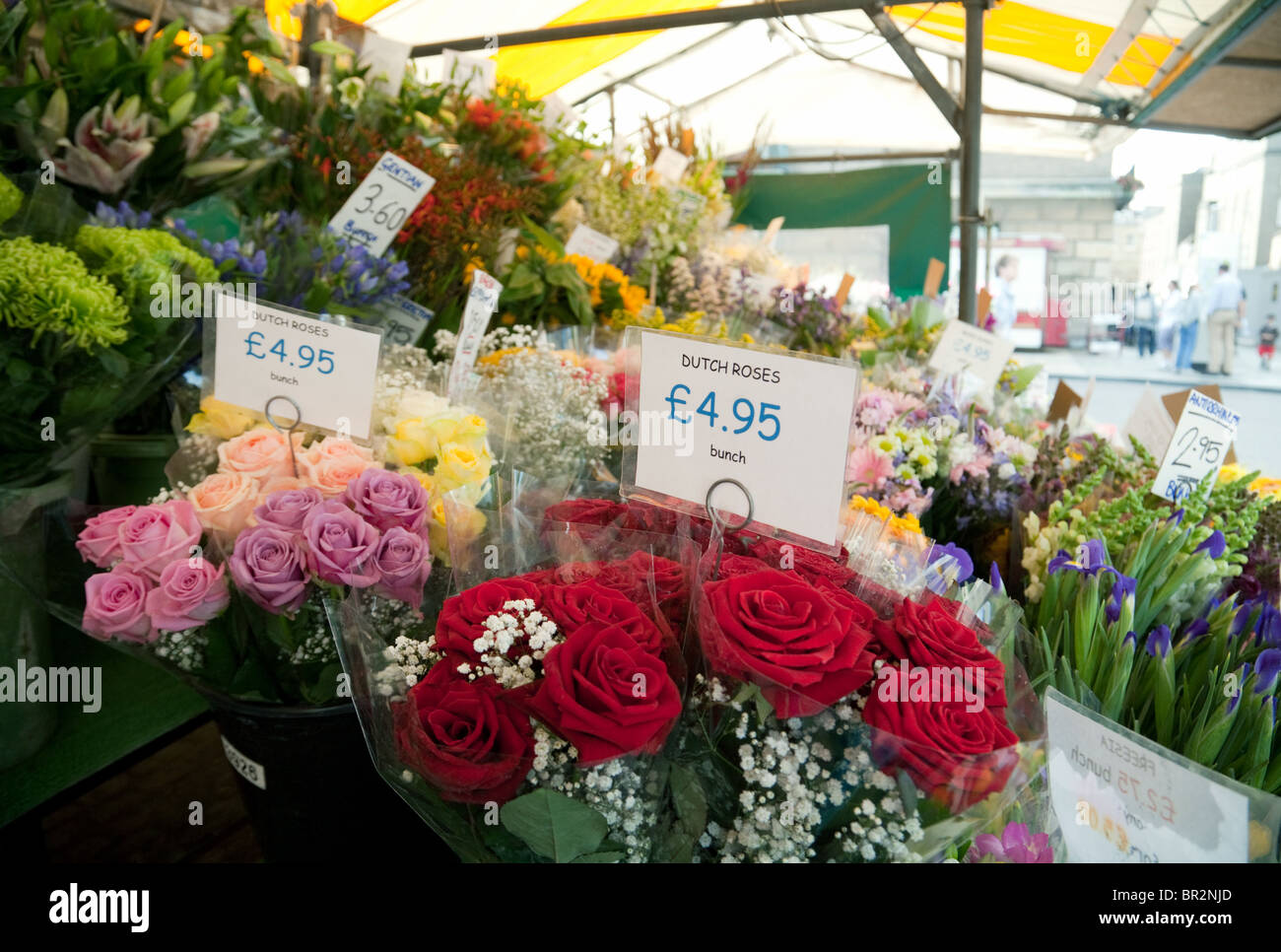 Dutch roses for sale in a florist stall, Cambridge market, Cambridge UK ...