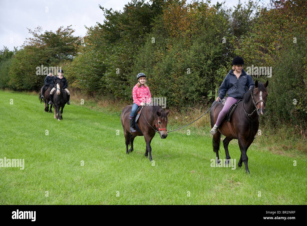Pony trekking in North Yorkshire Stock Photo - Alamy