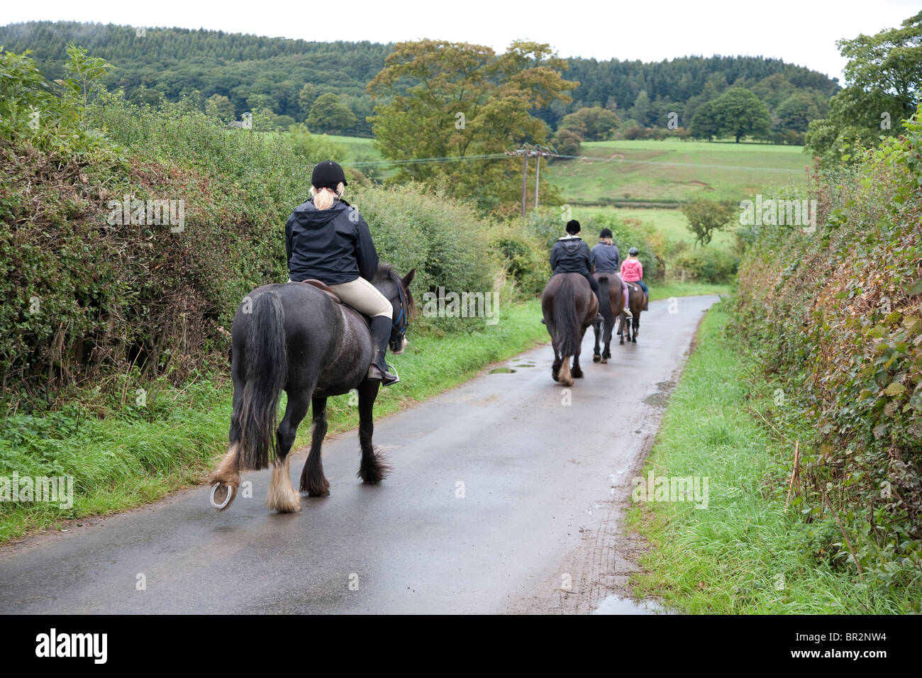 Pony trekking in North Yorkshire Stock Photo - Alamy