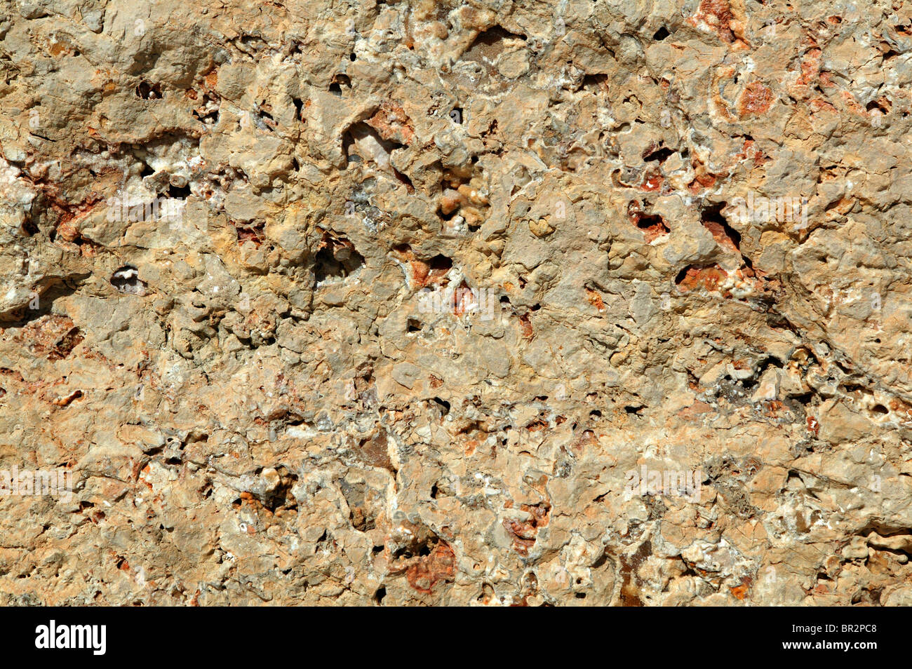 background texture of limestone stone natural surface Stock Photo - Alamy