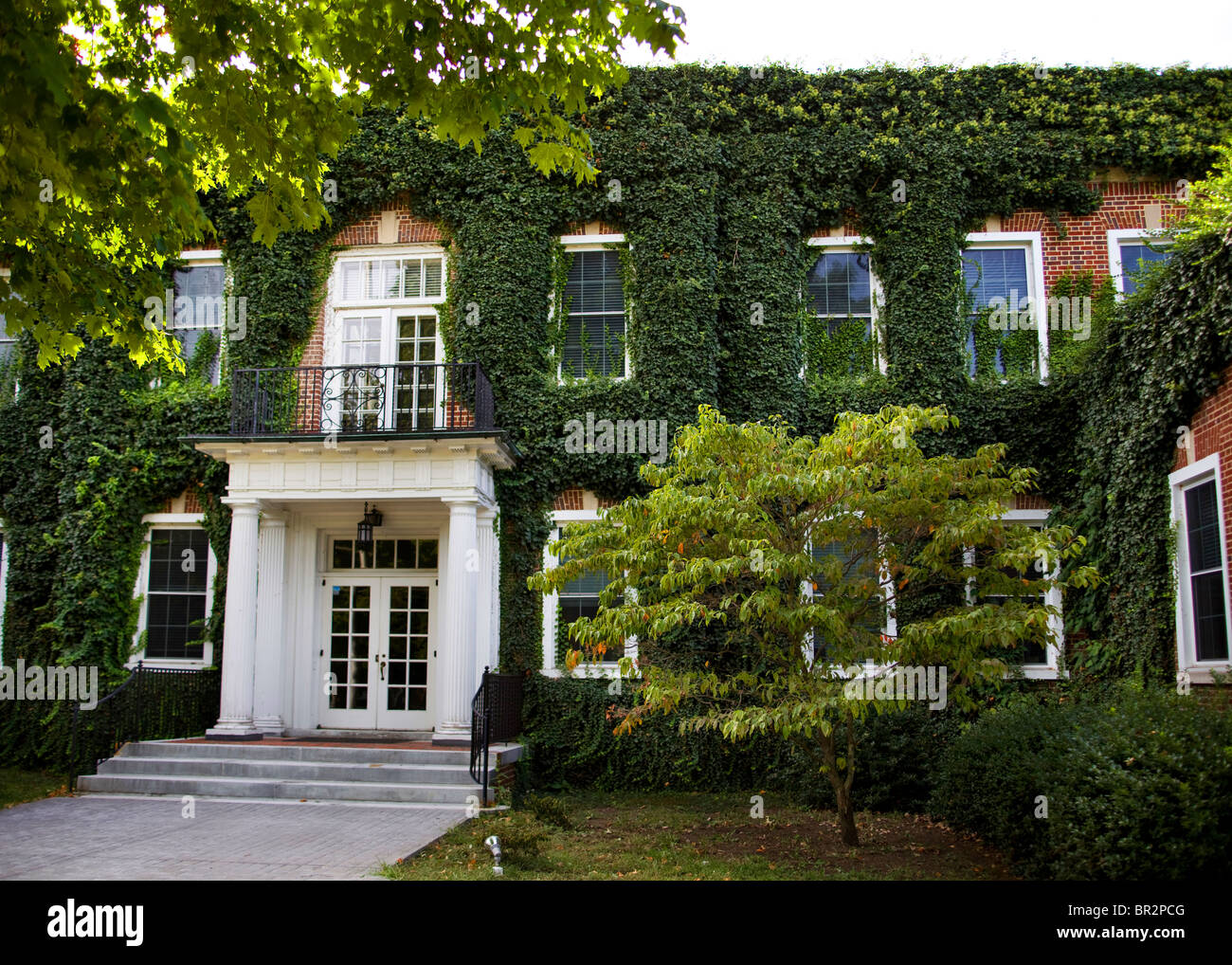 Building facade overtaken by ivy vines - Pennsylvania USA Stock Photo ...