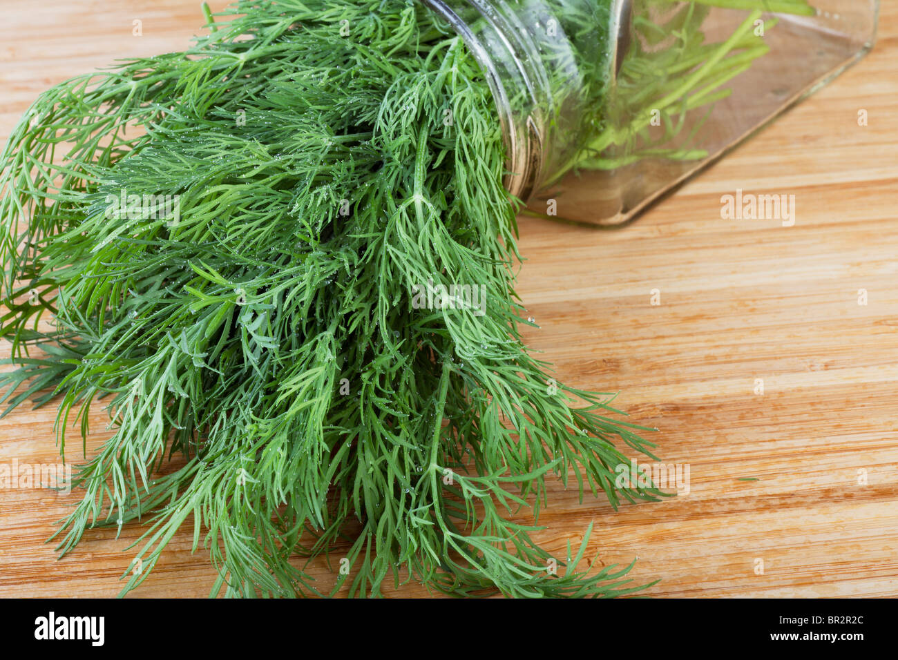 Dill hi-res stock photography and images - Alamy