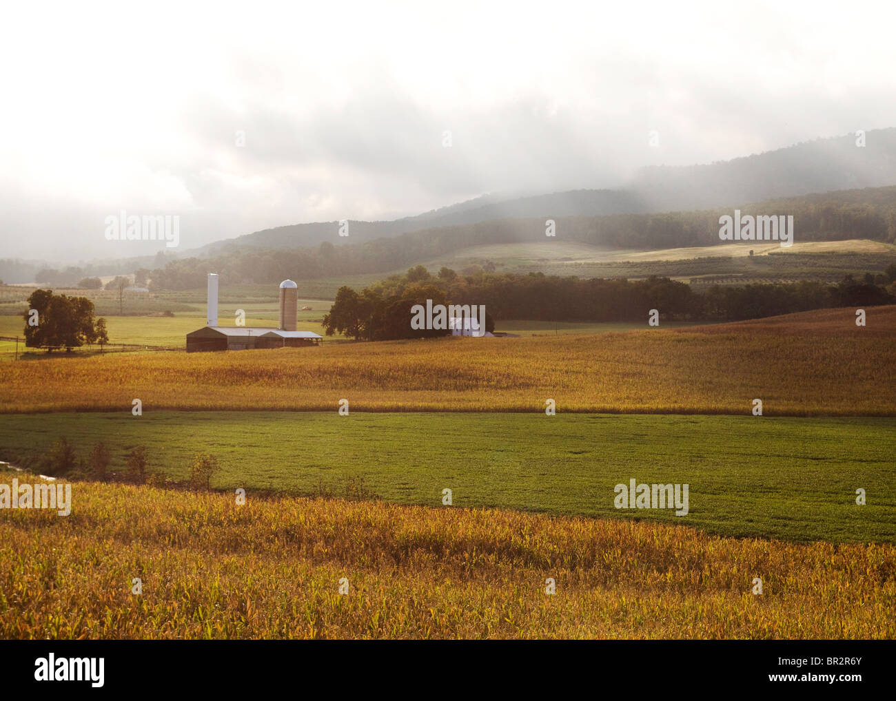 American farm after autumn rain storm - Maryland USA Stock Photo - Alamy