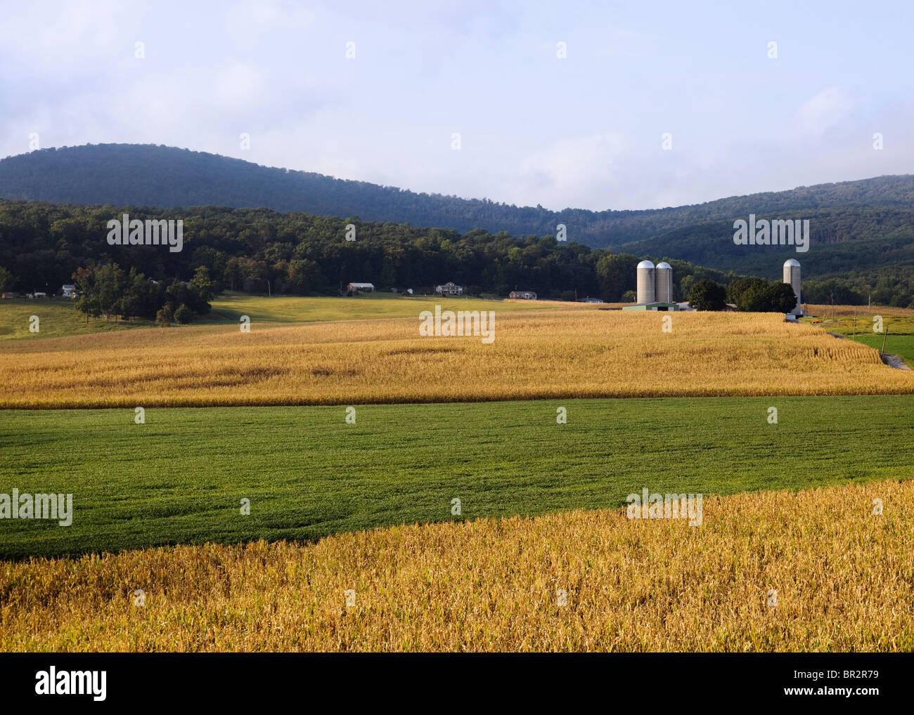American farming hi-res stock photography and images - Alamy