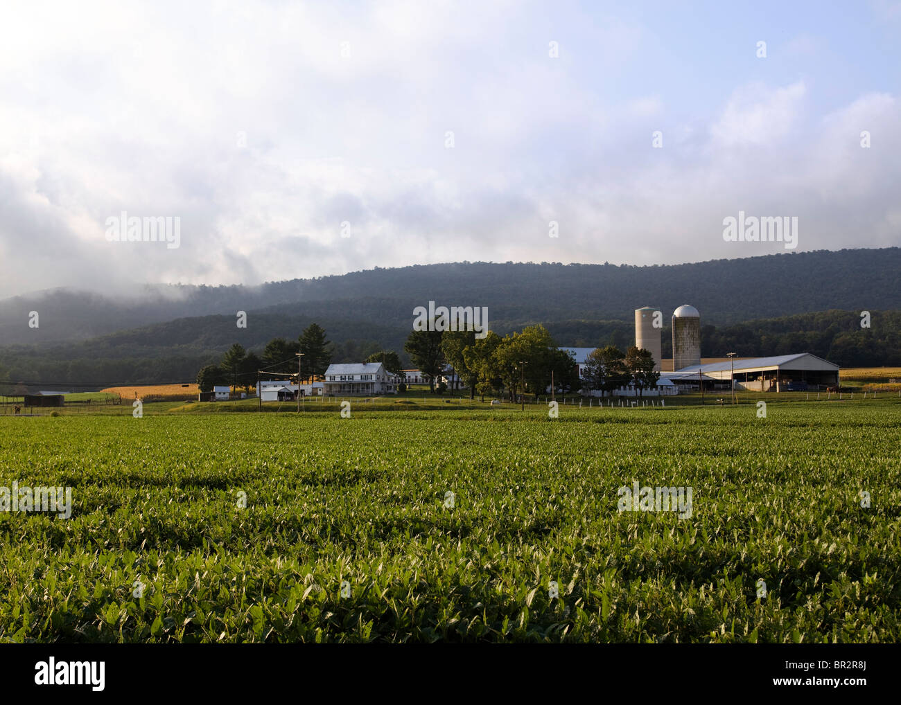American farm landscape hi-res stock photography and images - Alamy