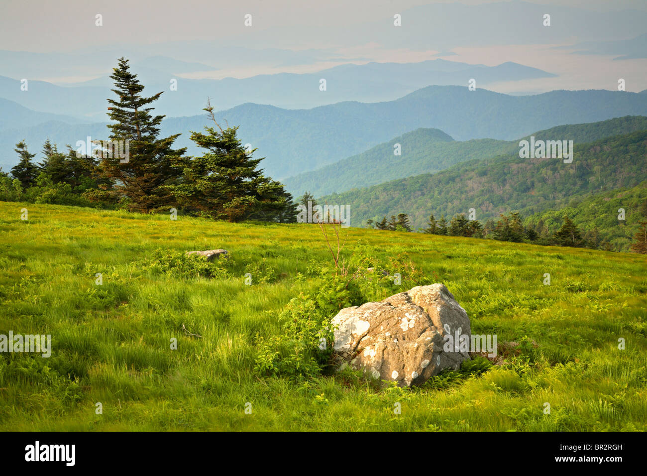 Roan Highlands Topix