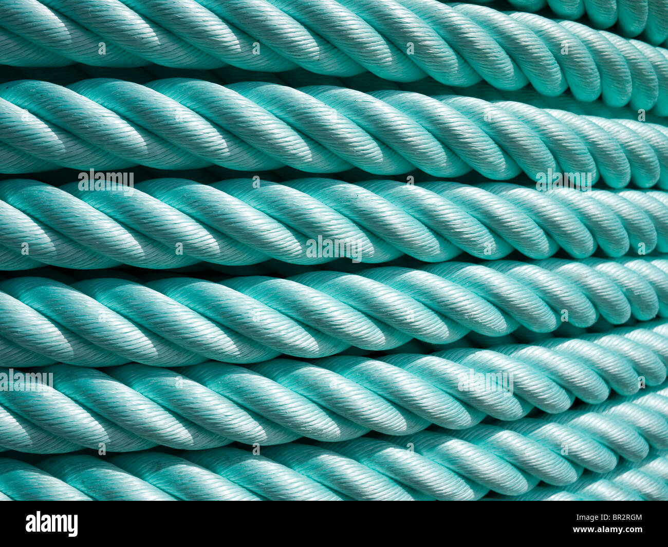 Thick green hi-res stock photography and images - Alamy