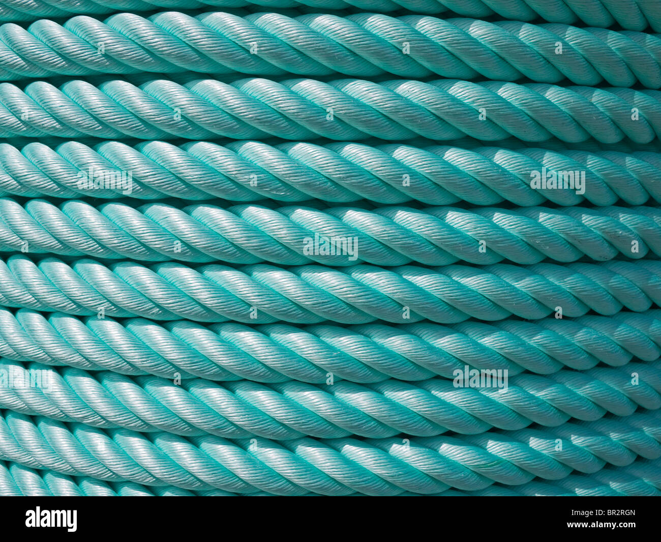 Thick roll hi-res stock photography and images - Alamy