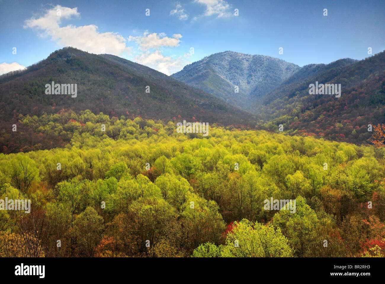 Smoky mountains spring hi-res stock photography and images - Alamy