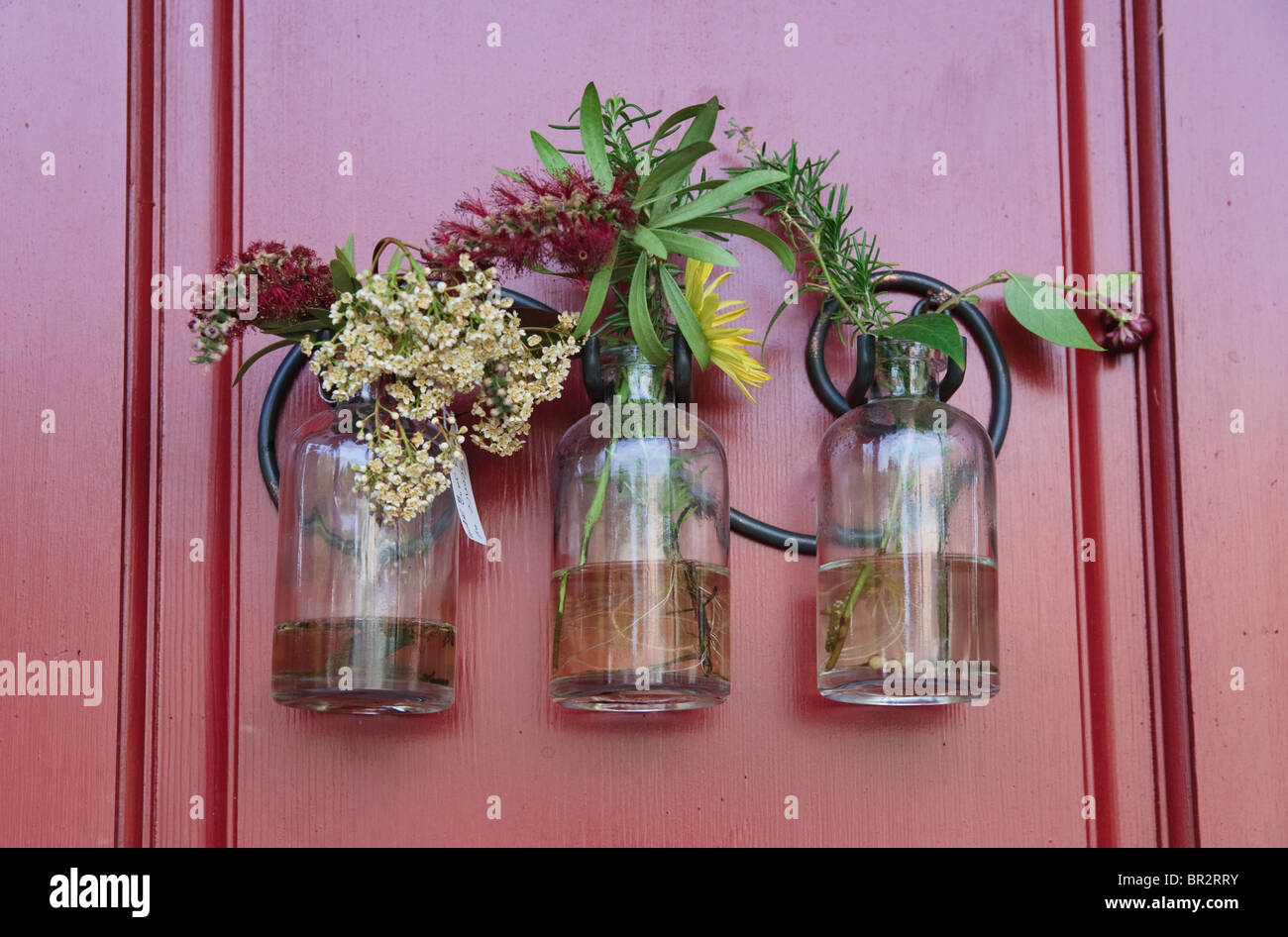 Glass flower pots on wall Stock Photo - Alamy