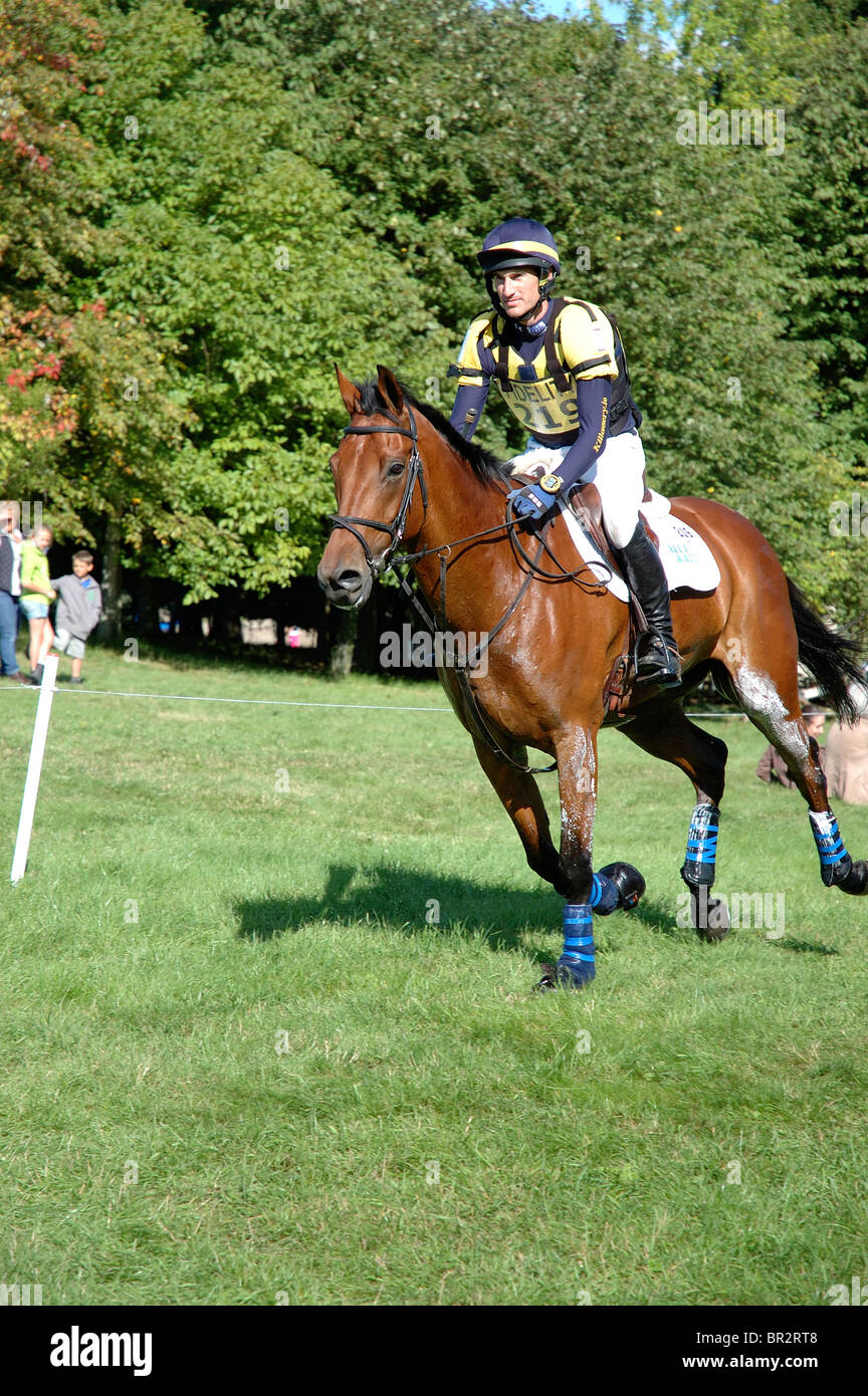 Horse and rider Stock Photo - Alamy