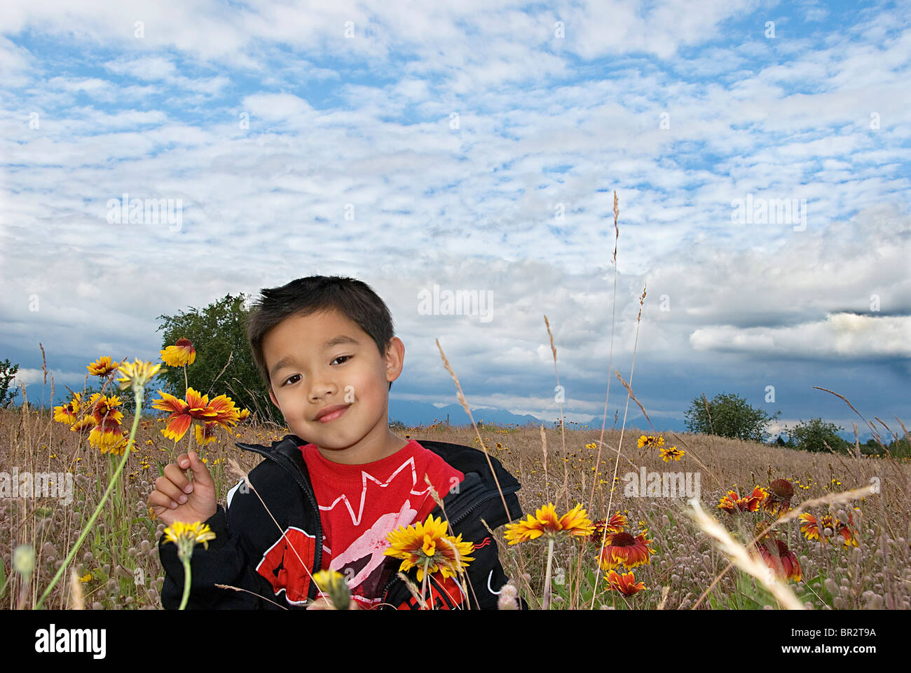A young boy in a field of wild flowers Stock Photo - Alamy
