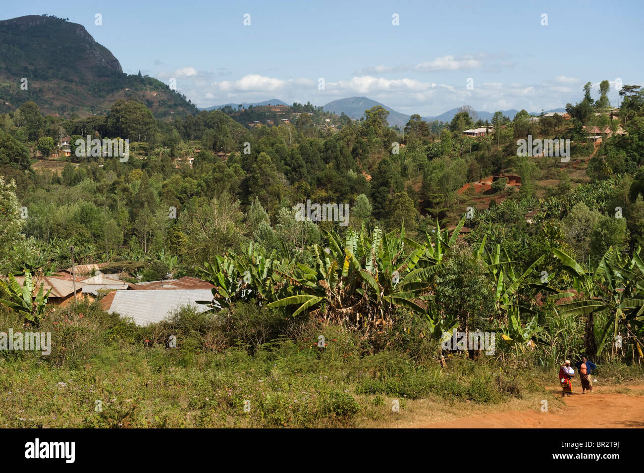 Lushoto, Western Usambara Mountain, Tanzania Stock Photo - Alamy