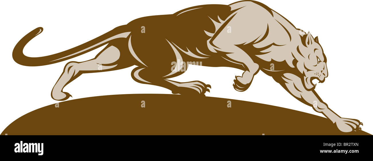 illustration of a big cat panther puma or mountain lion crouching ...