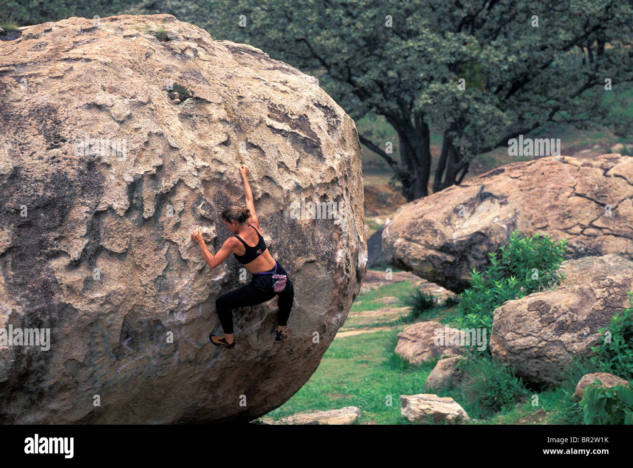 Woman bouldering on a round boulder Stock Photo - Alamy
