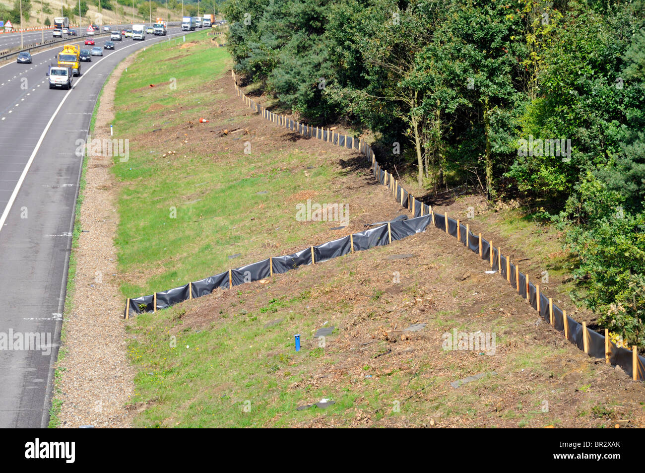 Plastic Newt fencing on grass embankment prior to M25 motorway widening ...