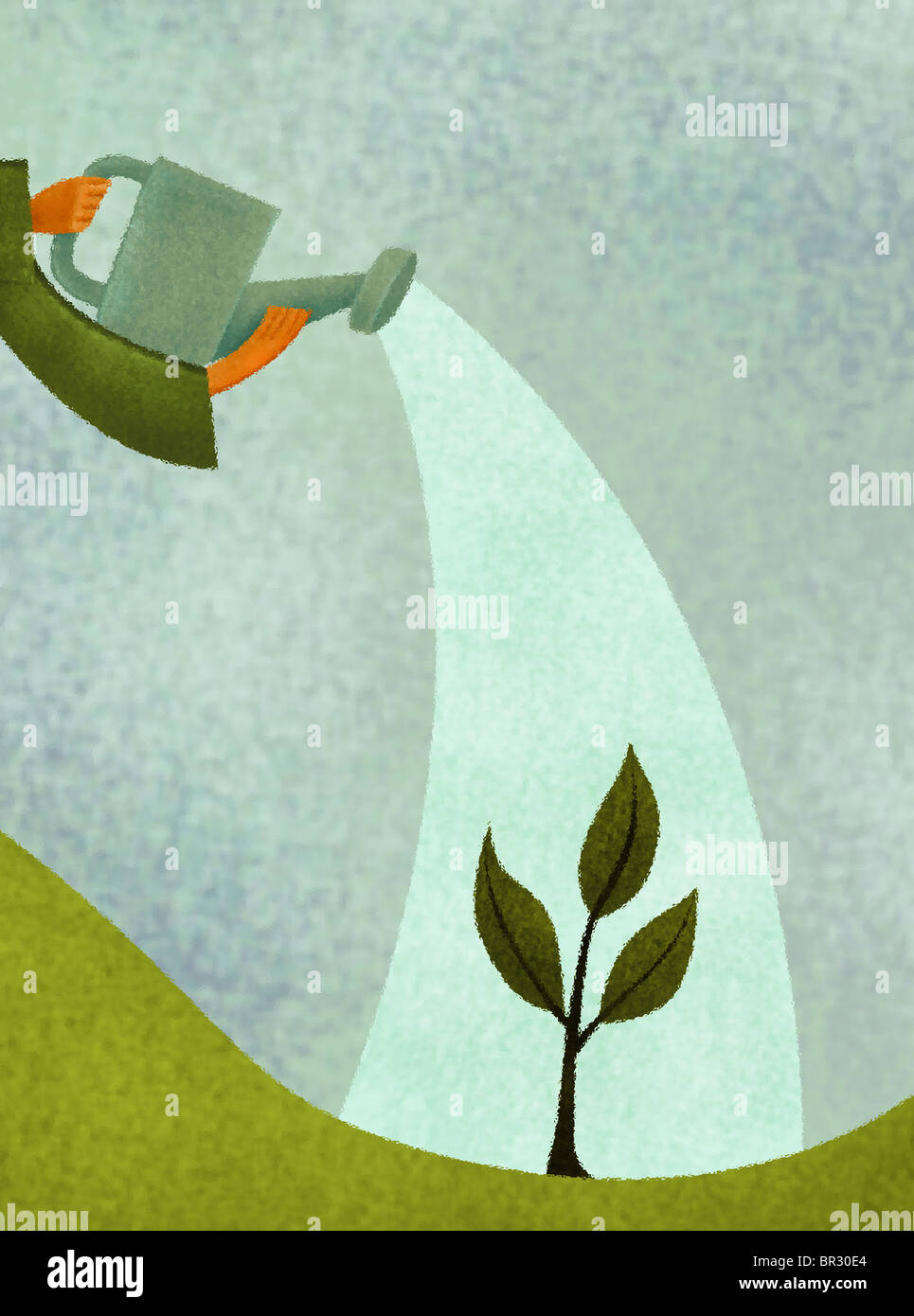 A small tree being watered Stock Photo - Alamy