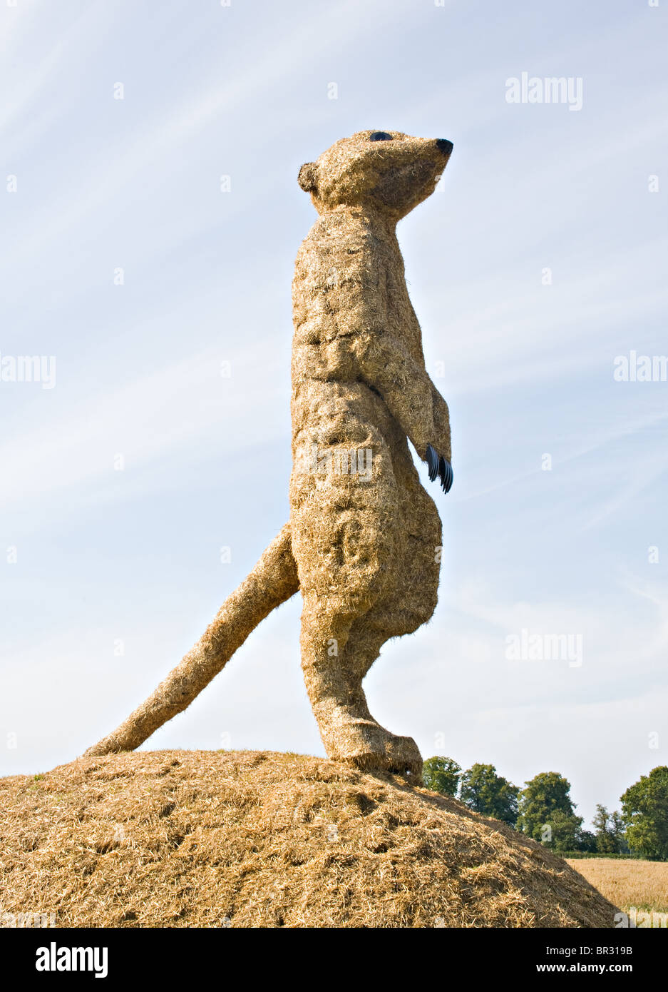 Statue of a Meerkat Sculpture at Snugburys Ice Cream Parlour near ...