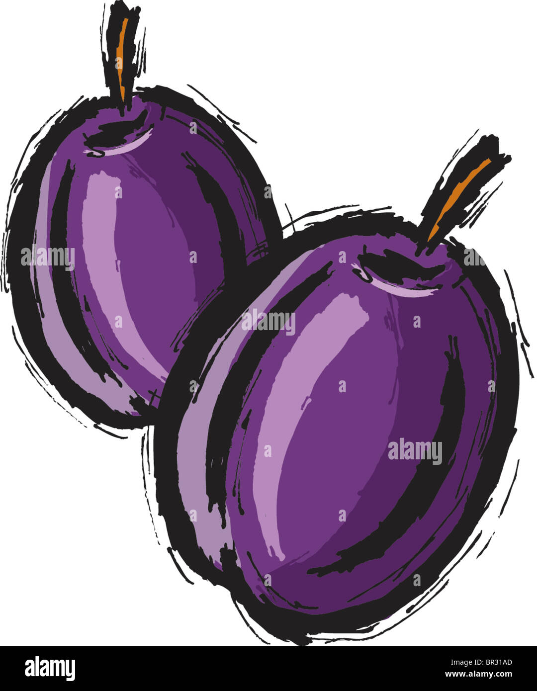 Plums illustrations hi-res stock photography and images - Alamy