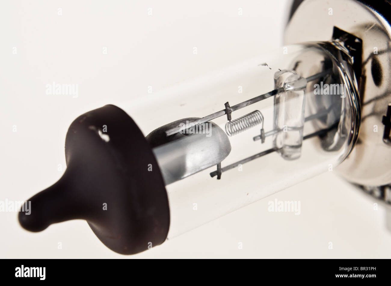 car halogen light bulb Stock Photo - Alamy