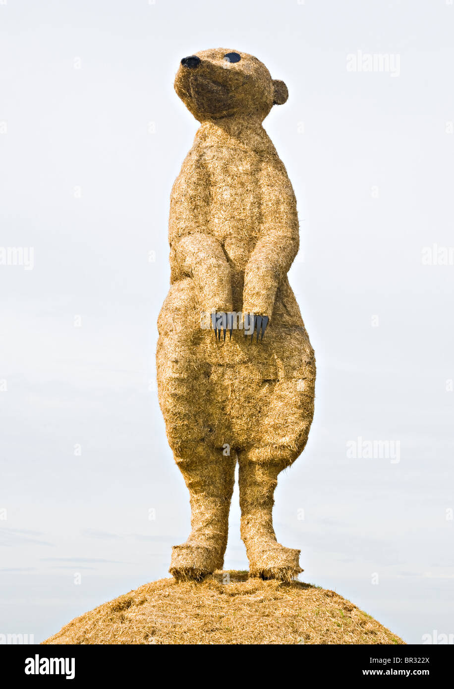 Statue of a Meerkat Sculpture at Snugburys Ice Cream Parlour near ...