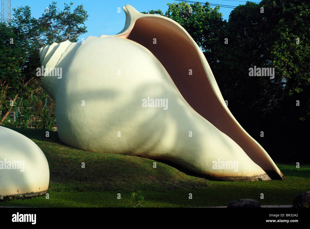Conch architecture hi-res stock photography and images - Alamy