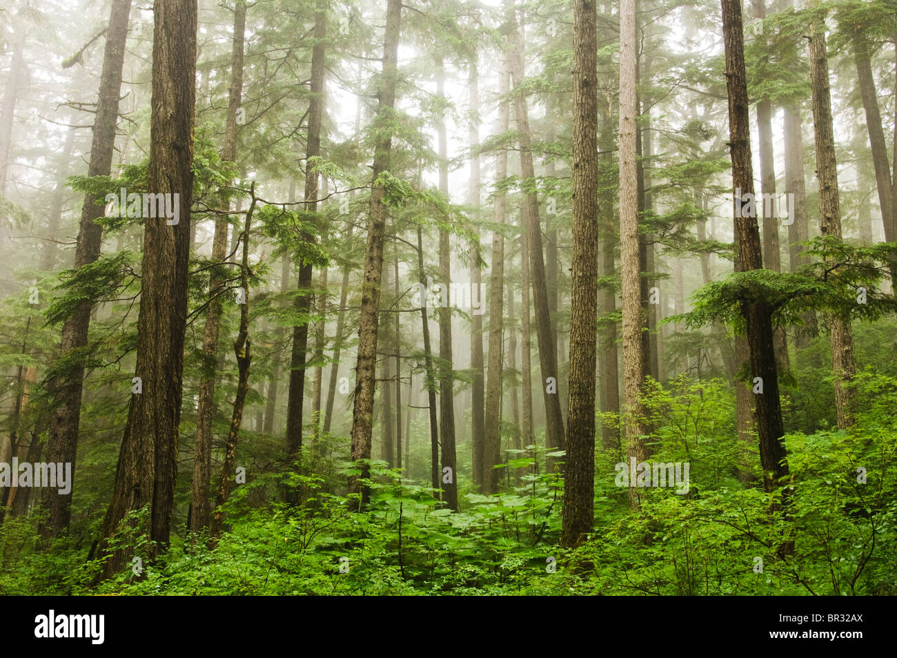 Uneau hi-res stock photography and images - Alamy