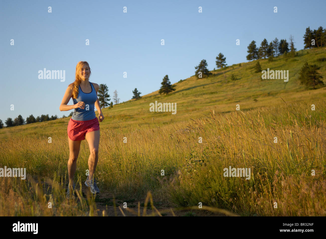 Auro color hi-res stock photography and images - Alamy