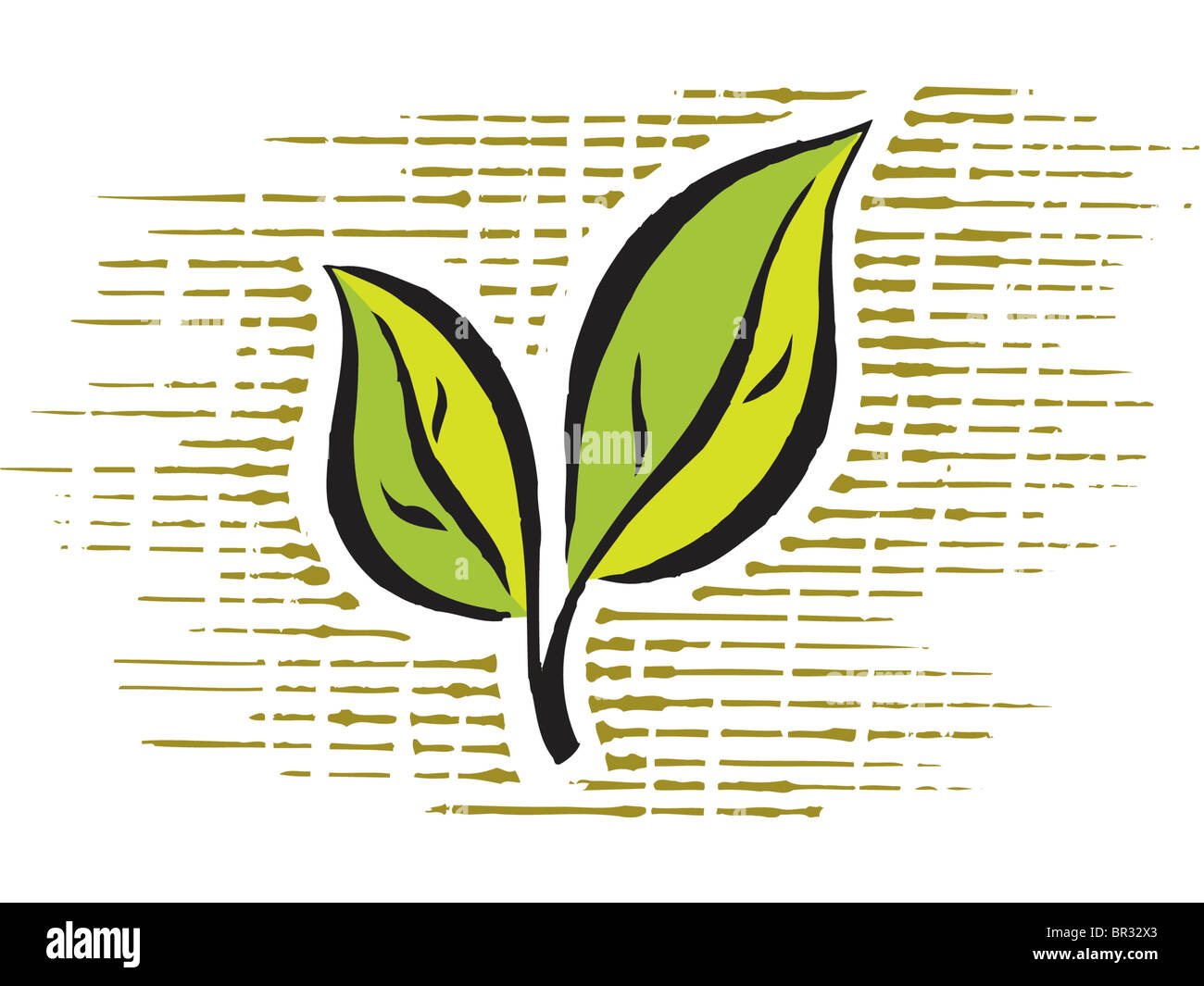 Two horizontal leaves hi-res stock photography and images - Alamy