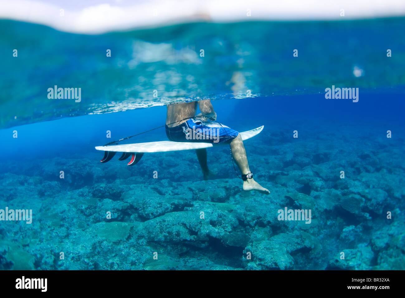 Underwater view of surfer Stock Photo - Alamy