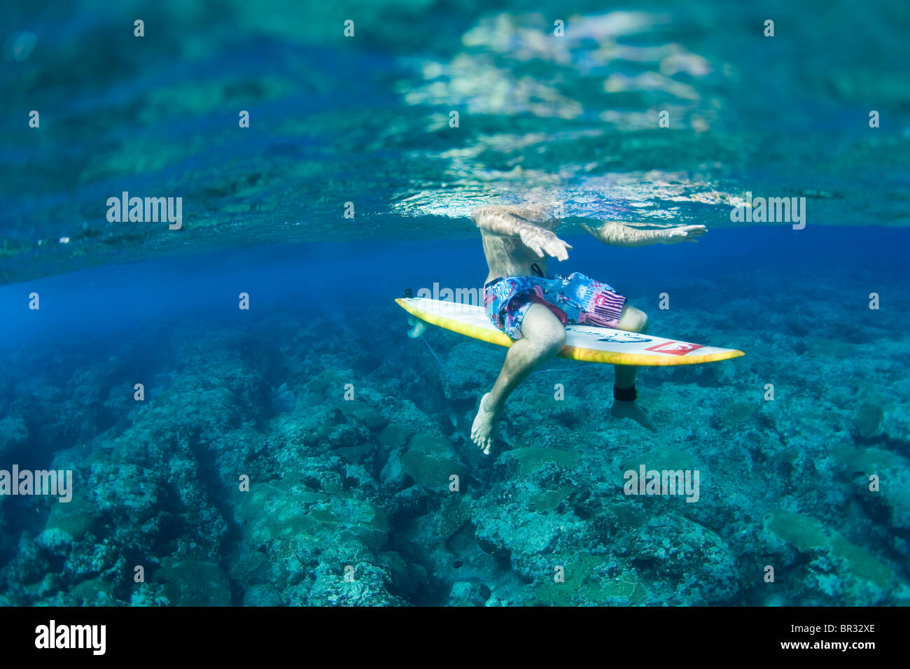 Underwater view of surfer Stock Photo - Alamy