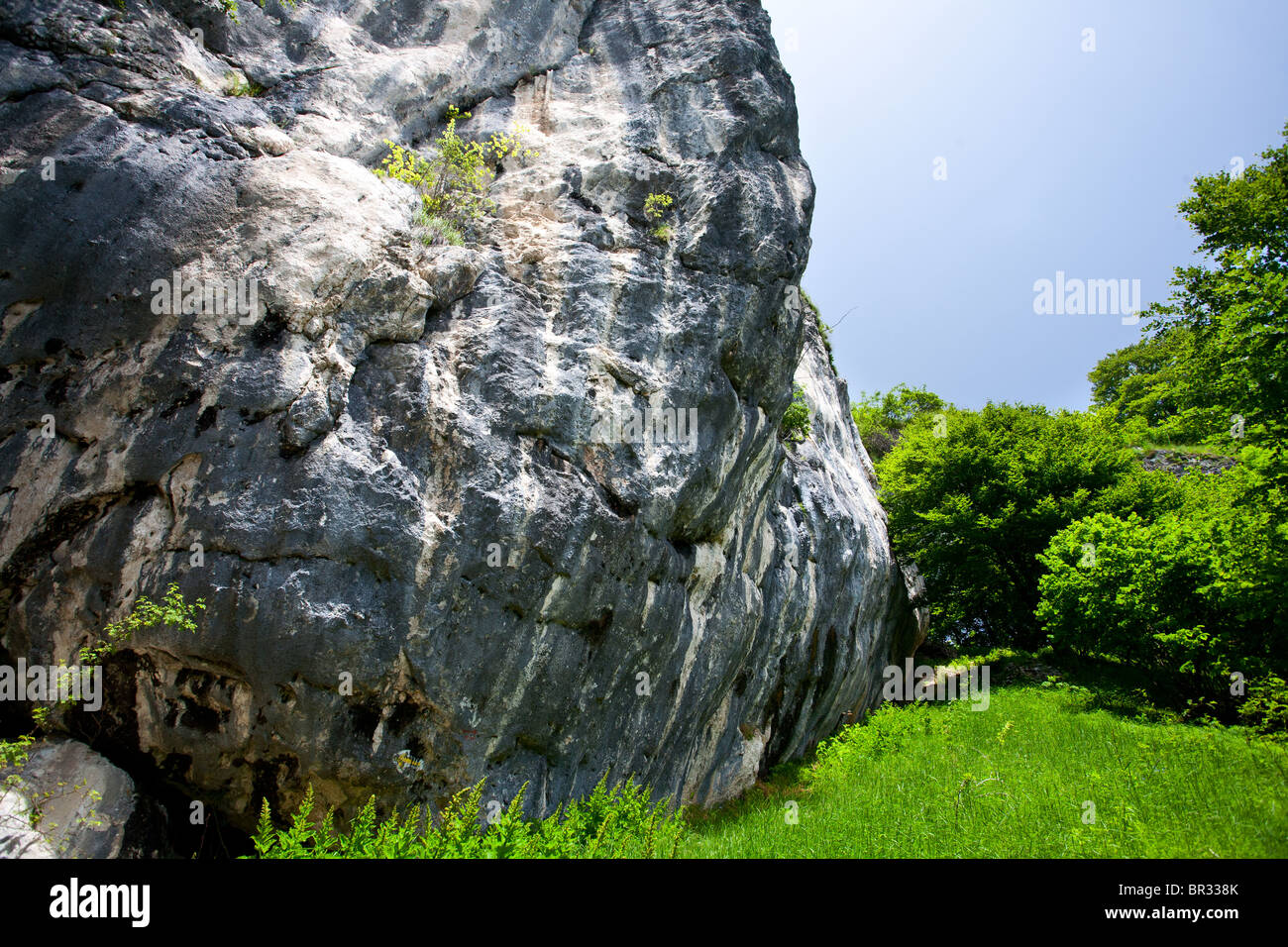 Huge rock in mountains, with meadow and forest Stock Photo - Alamy