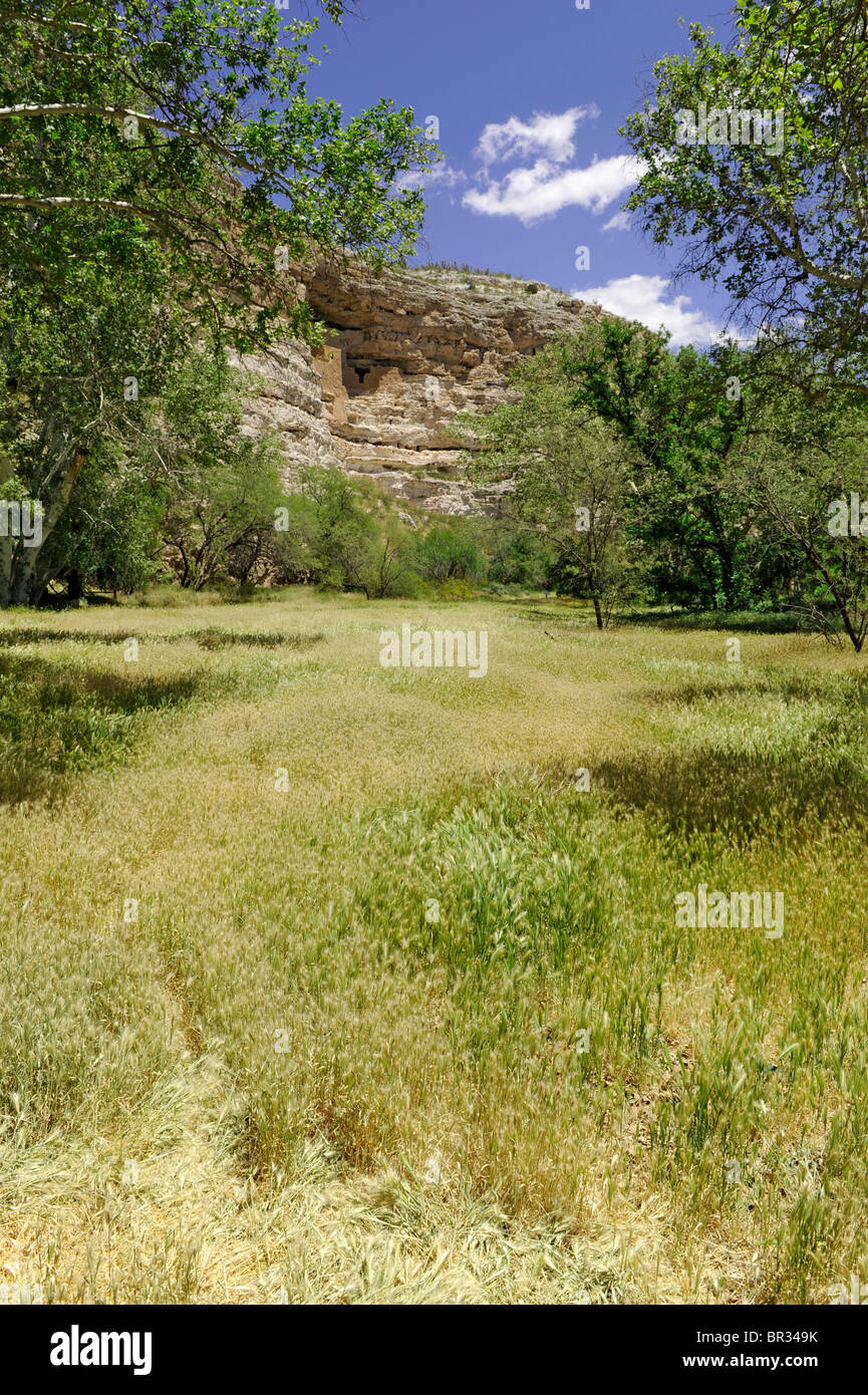 Desert Grasslands at Montezuma Castle National Monument Arizona Stock ...