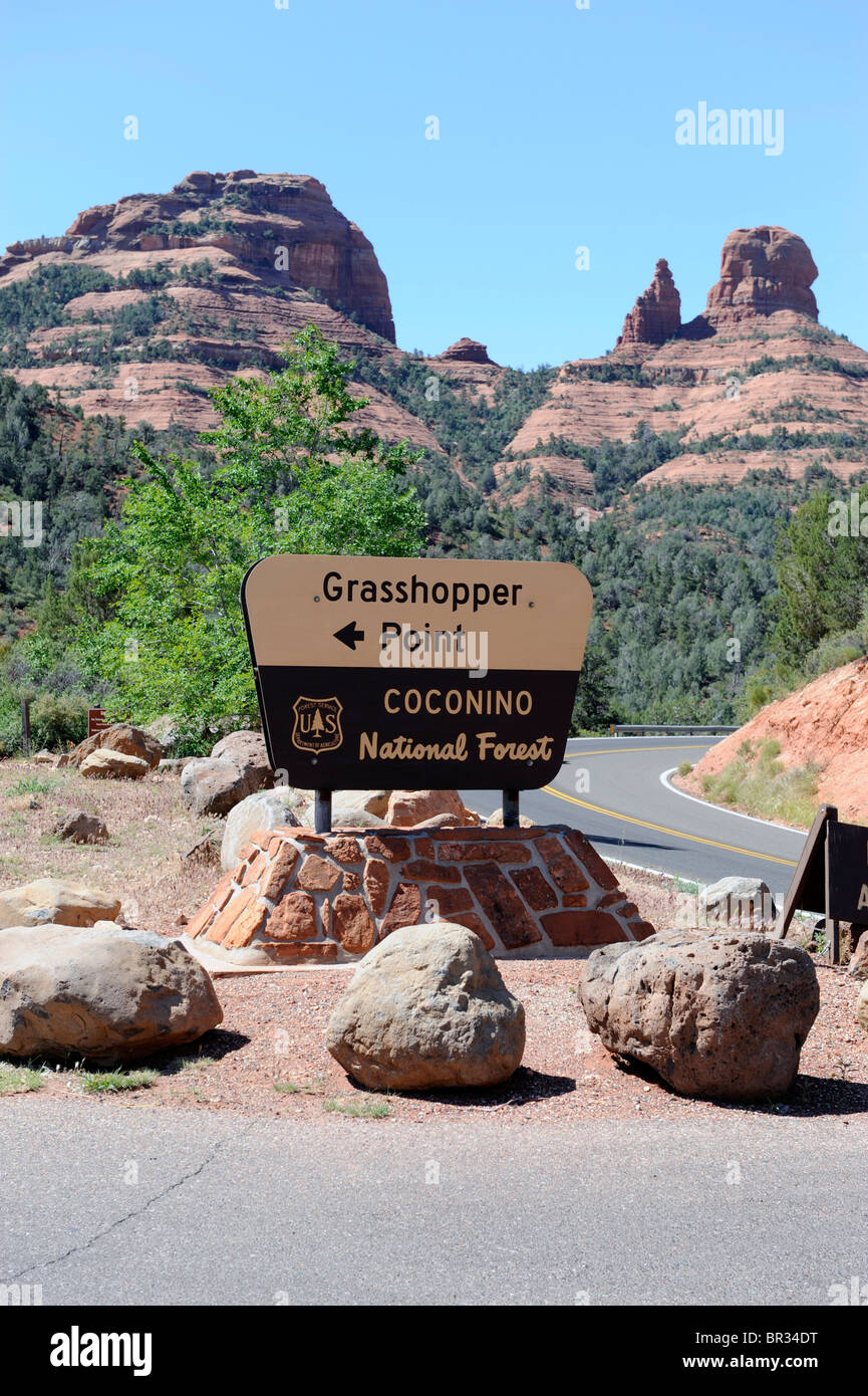 Are Dogs Allowed At Grasshopper Point