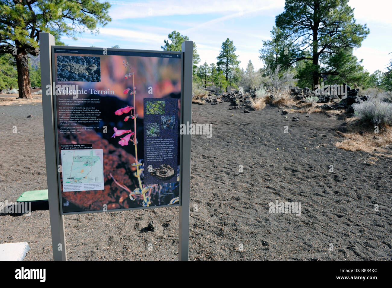 Sunset Crater Volcano National Monument Flagstaff Arizona Stock Photo ...