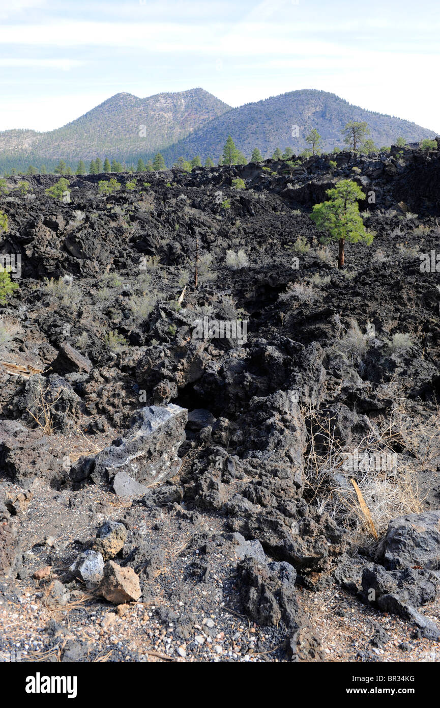 Sunset Crater Volcano National Monument Flagstaff Arizona Stock Photo ...