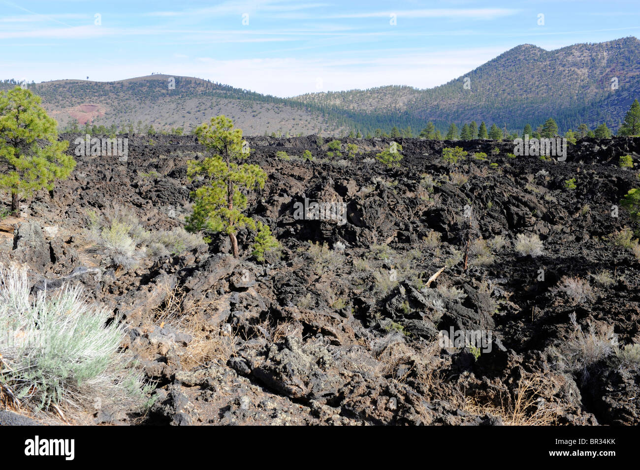 Sunset Crater Volcano National Monument Flagstaff Arizona Stock Photo ...