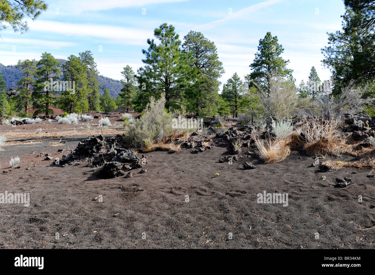 Sunset Crater Volcano National Monument Flagstaff Arizona Stock Photo ...