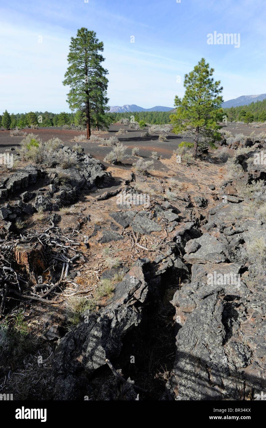 Sunset Crater Volcano National Monument Flagstaff Arizona Stock Photo ...