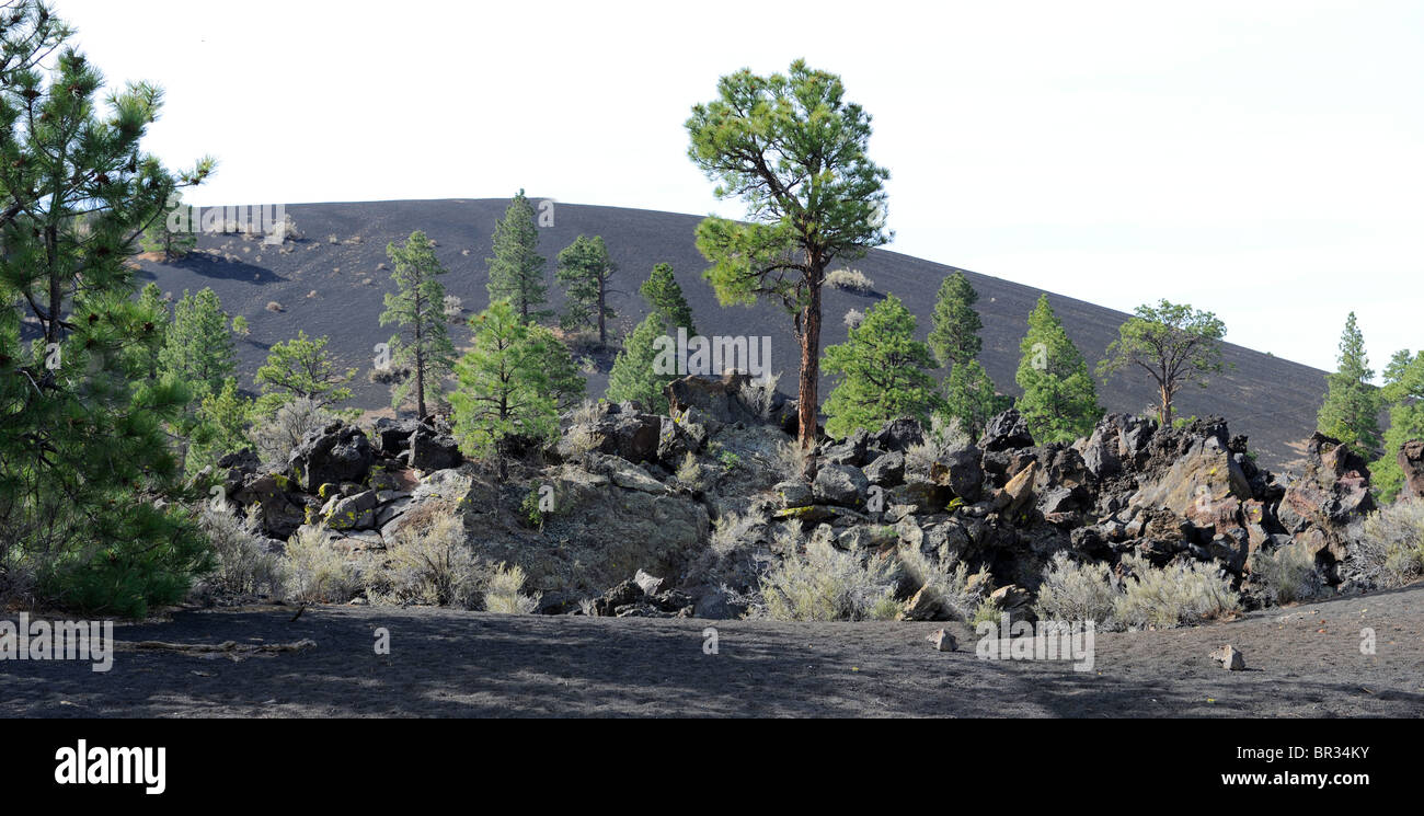 Sunset Crater Volcano National Monument Flagstaff Arizona Stock Photo ...