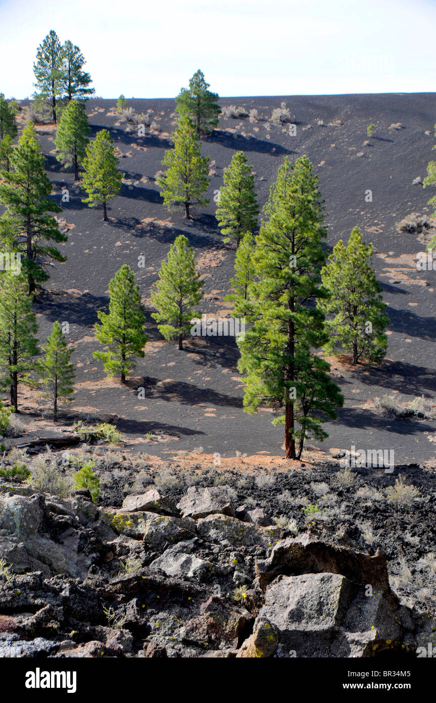 Sunset Crater Volcano National Monument Flagstaff Arizona Stock Photo ...