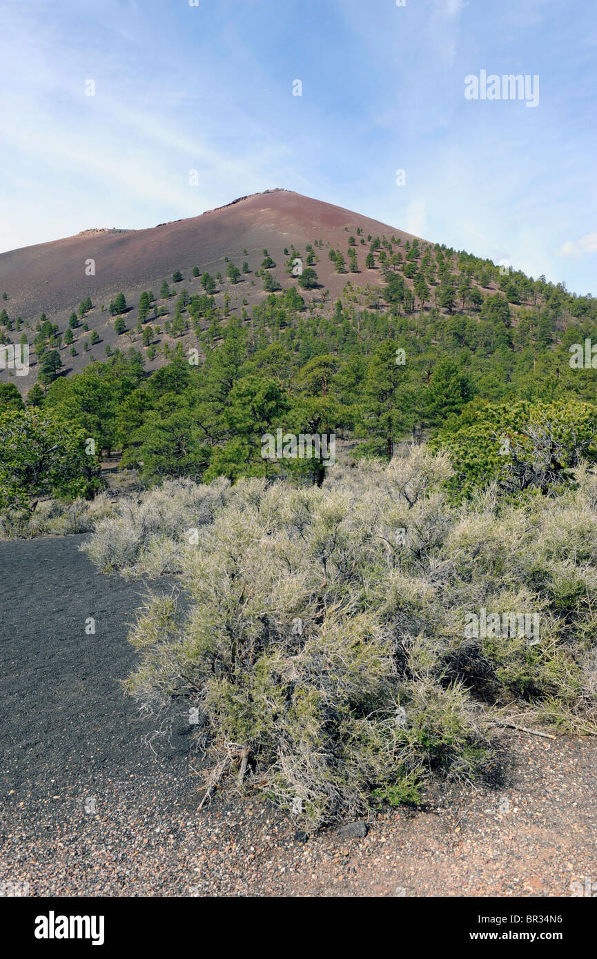 Sunset Crater Volcano National Monument Flagstaff Arizona Stock Photo ...