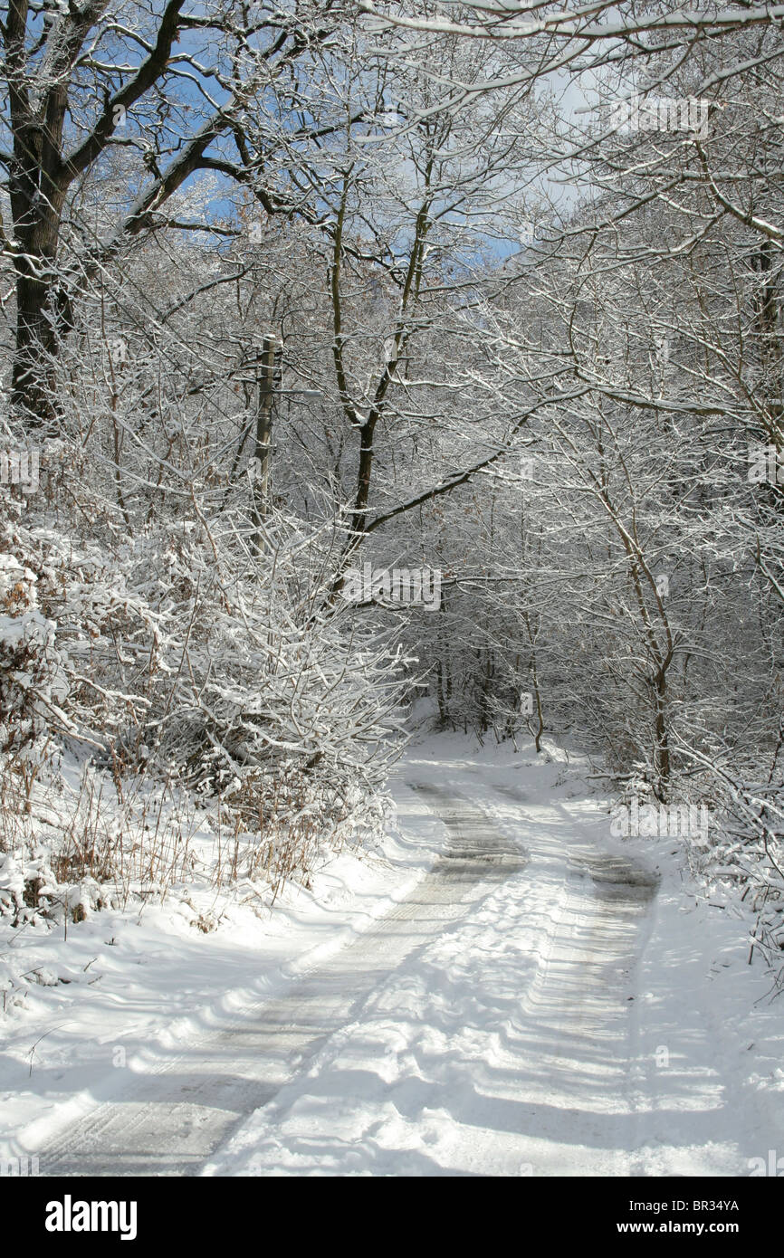 Frozen winter road Stock Photo - Alamy