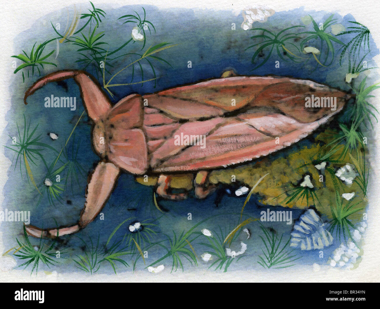 Saigas High Resolution Stock Photography and Images - Alamy