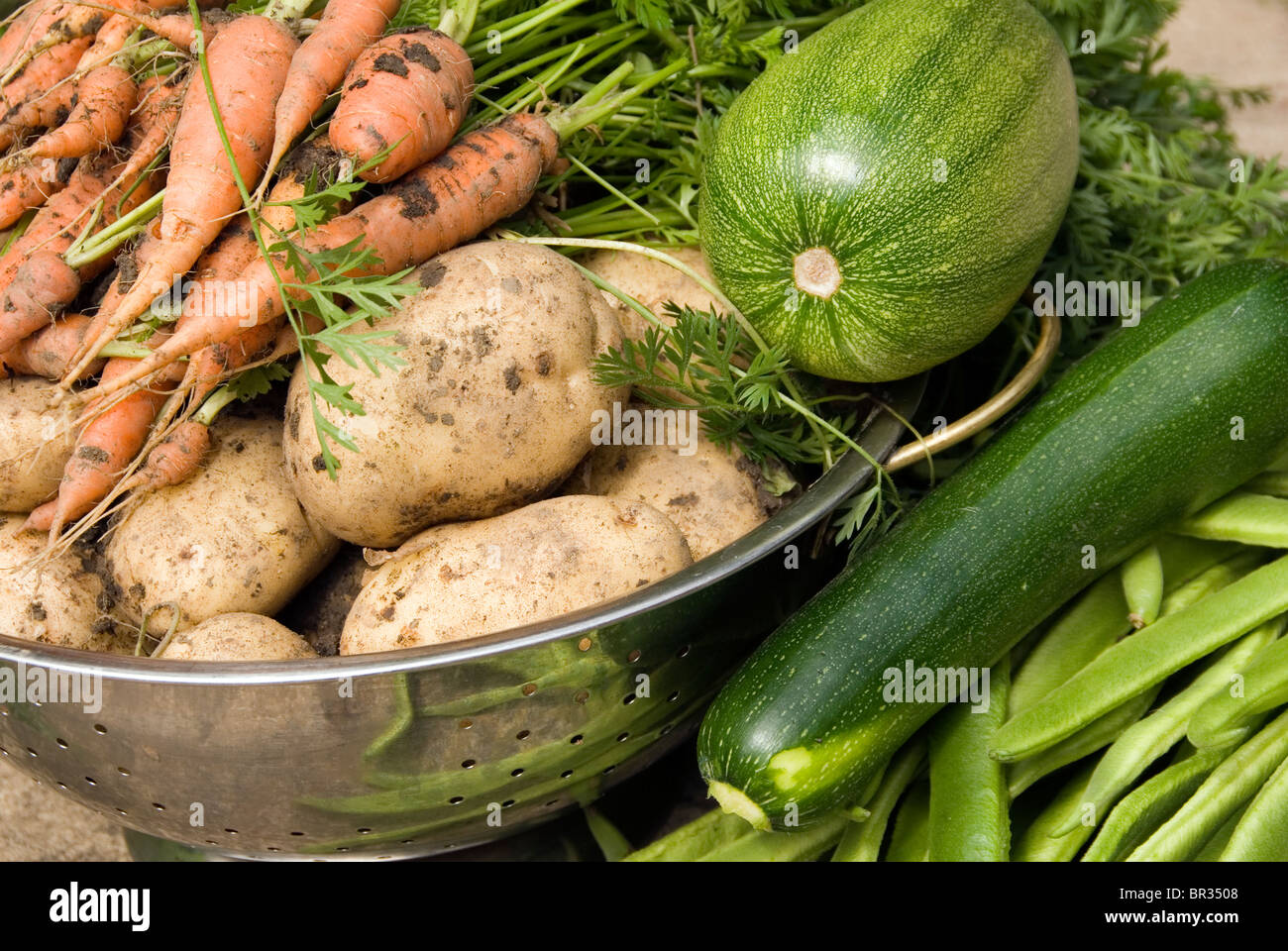 Garden rhubarb courgette hi-res stock photography and images - Alamy