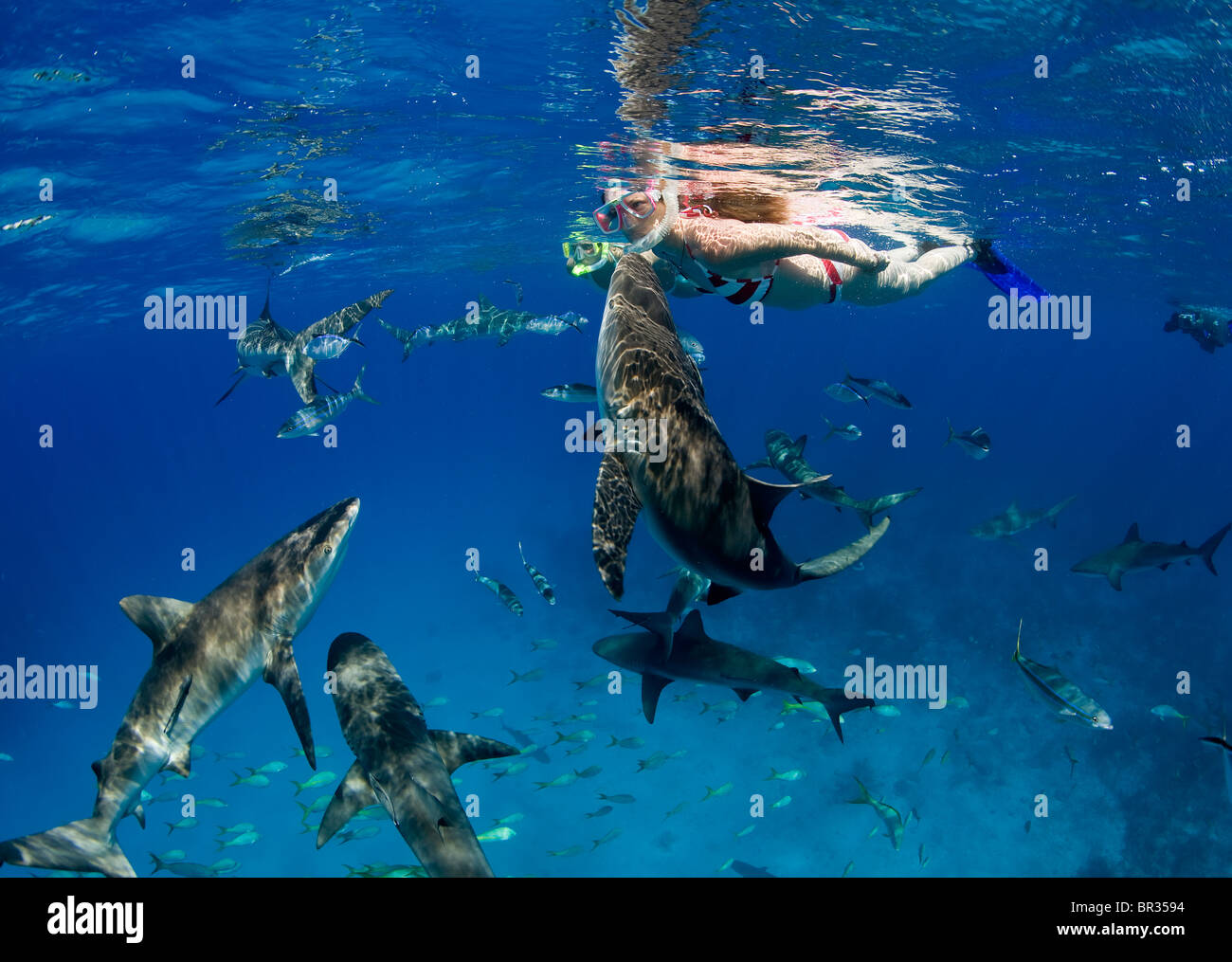 Water surface animated High Resolution Stock Photography and Images - Alamy