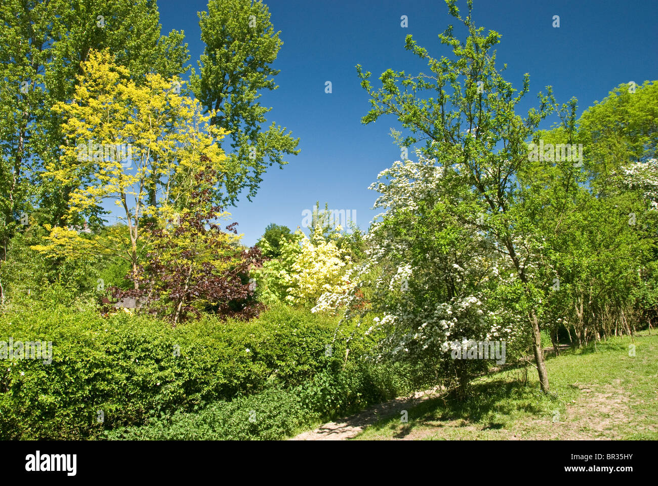 A summers day Stock Photo - Alamy