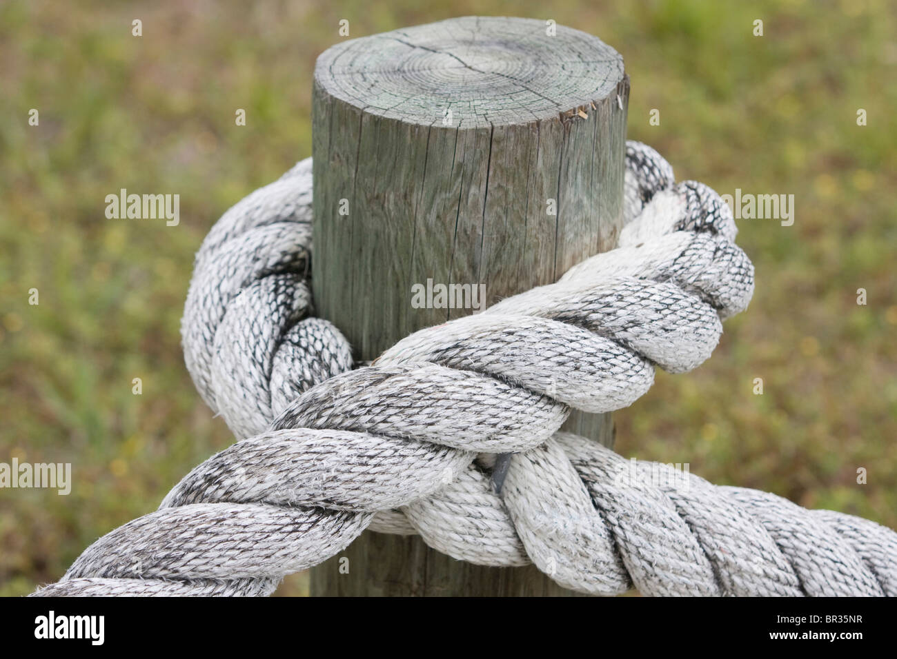 Rope looped around a stake Stock Photo - Alamy