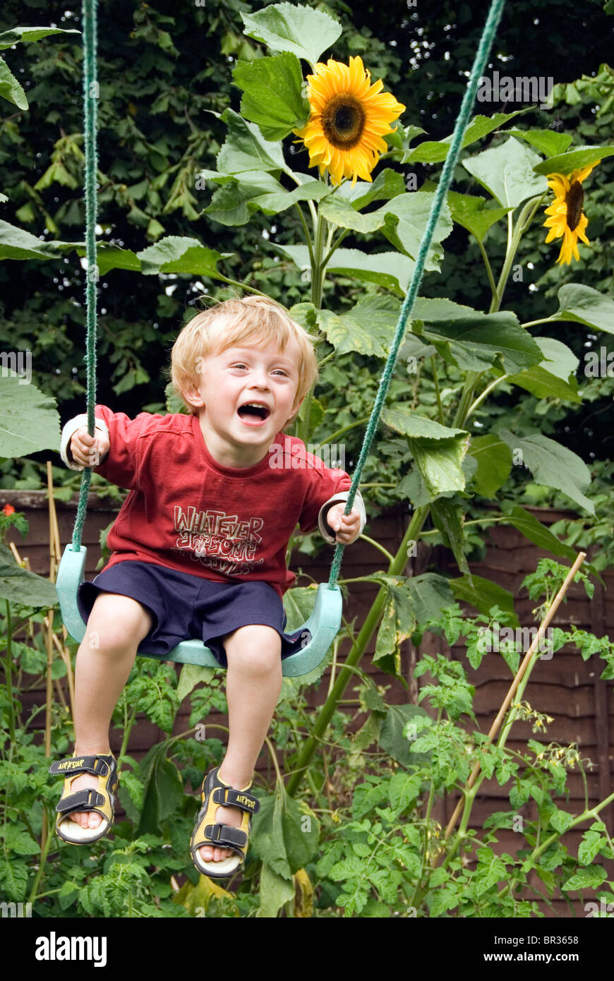 Portrait of Little Boy Laughing Gleefully Swinging on Swing in Garden ...